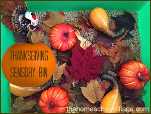 Thanksgiving Sensory Bin - The Homeschool Village