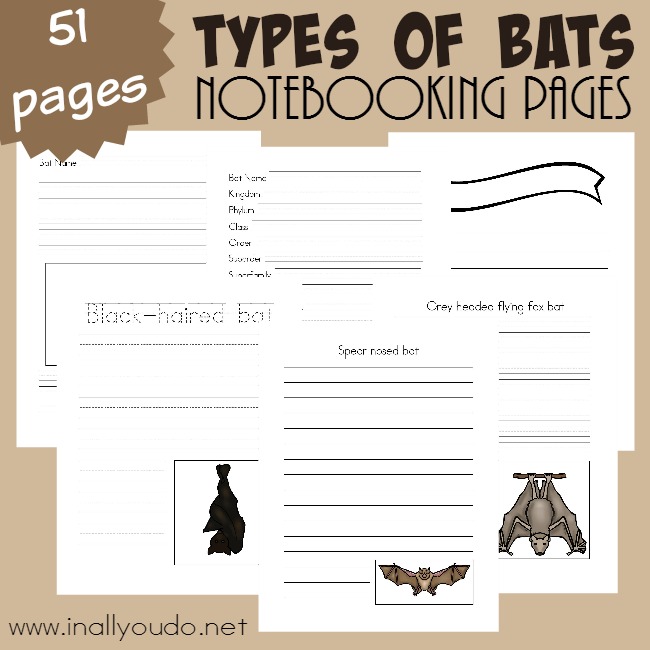 FREE Types of Bats Notebooking Pages - The Homeschool Village