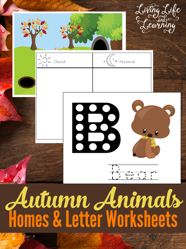 Autumn Animals Homes