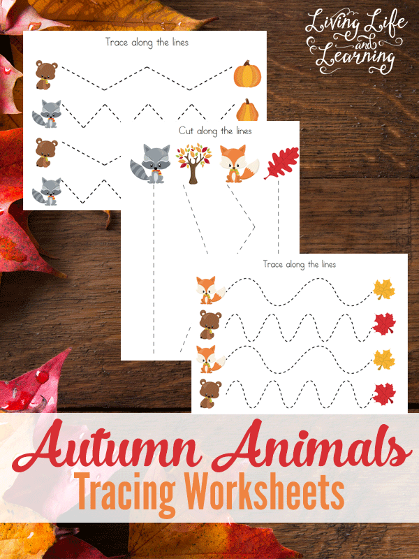 Autumn Animals Tracing Worksheets {freebie} - The Homeschool Village